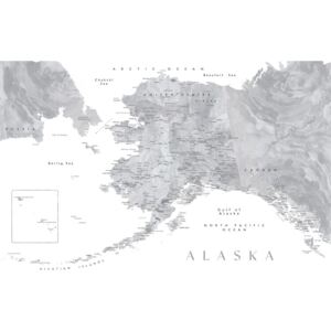 Mapa Detailed map of Alaska in grayscale watercolor, Blursbyai | FAVI.cz
